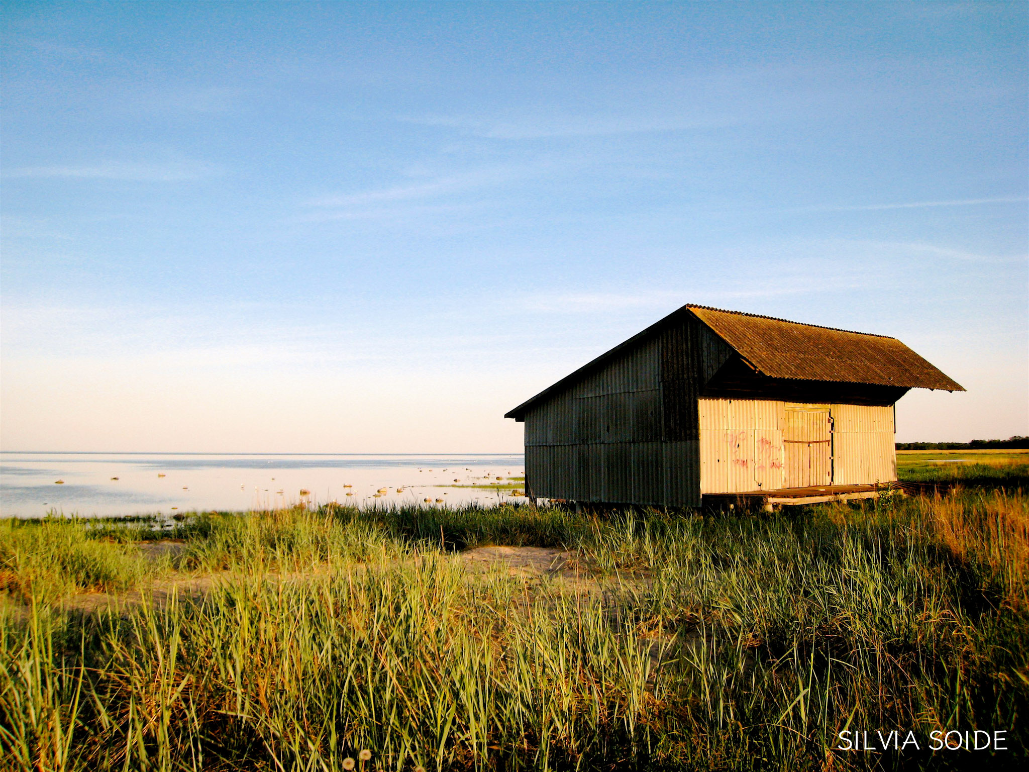 Kihnu nature | Visit Kihnu - Estonian island